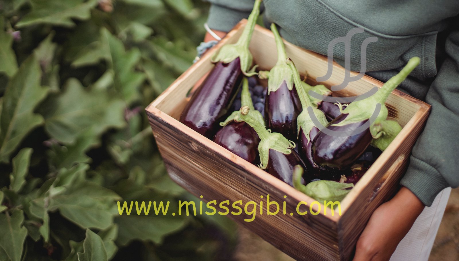 Patlıcan - MisssGibi Yemek Tarifleri