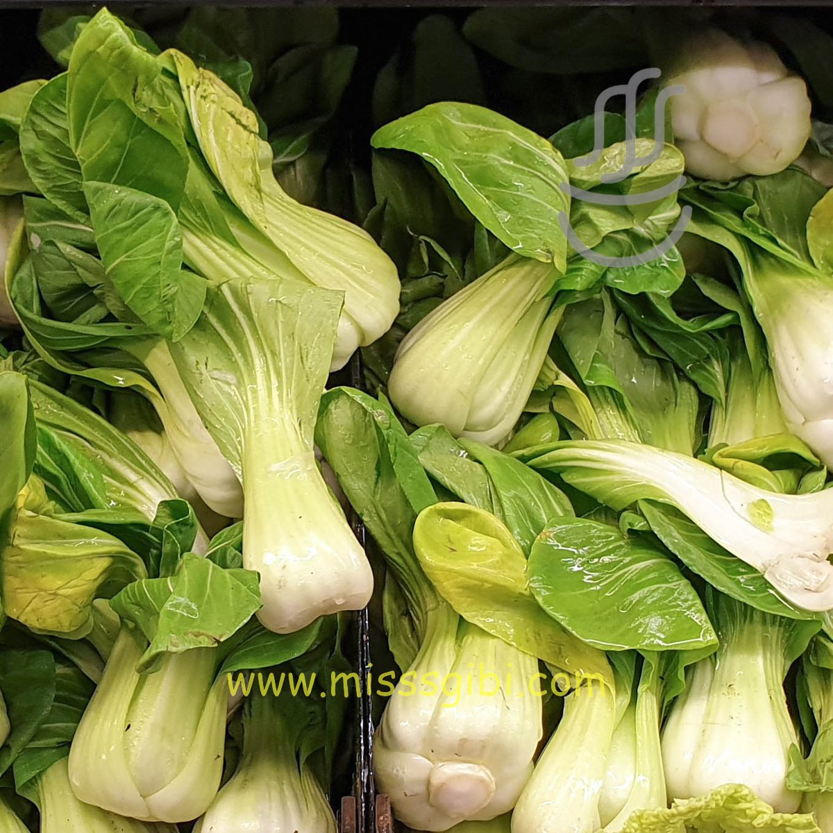 Çin Lahanası (Çin Marulu) Nedir? - Nasıl Tüketilir? - Faydaları ...